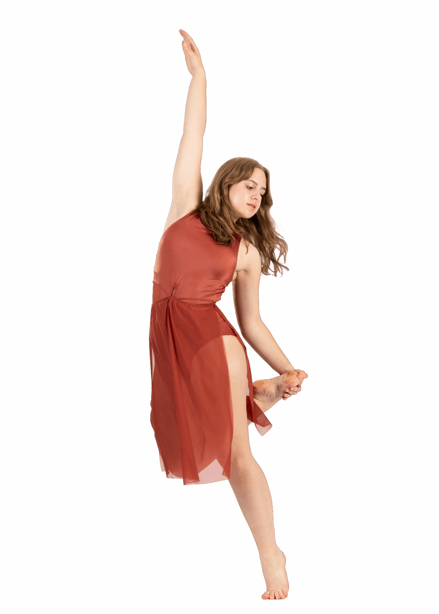 Dance - The Dance Company